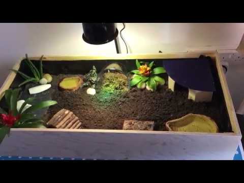 The Complete Guide To Tortoise Tables | MyPetCareJoy